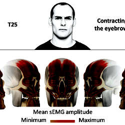 Color-coded facial muscle activation pattern of task T25.