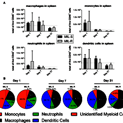 Flow cytometry analysis of the myeloid compartment of the spleen.