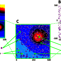 Mathematical model of the tumor tissue microenvironment.