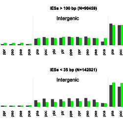 Genomic distribution of IESs according to their length.