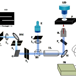 Optical path diagram.