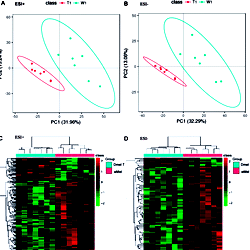 Multivariate statistical analysis of metabolomics data.