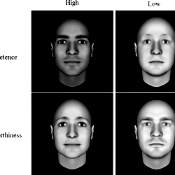 Computer generated face stimuli.