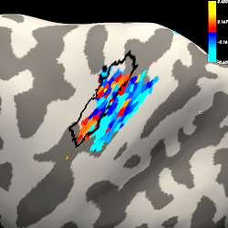 Subject 1 example heat map of wrist action preference (remaining ...