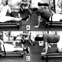 Assessments for the hip joint were all performed on MuscleBoard ...