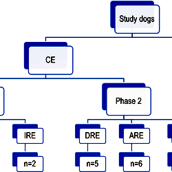 Breakdown of the study dog population.