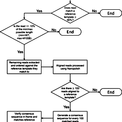 Oxford Nanopore Technologies sequencing analysis pipeline.