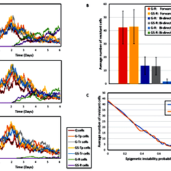 Cell population dynamics for the multi-step model.