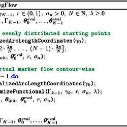 Algorithm to compute regularized flows.