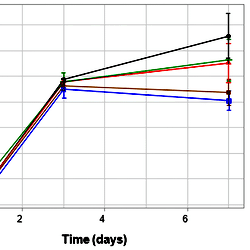 Comparison of urease activity of the three different lineages.
