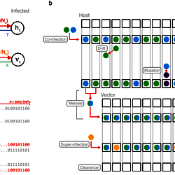 Schematic of forward-dream.