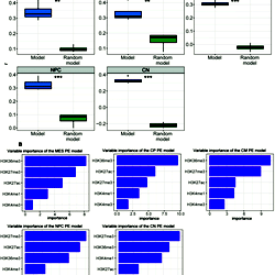 PE models trained in differentiation time points.