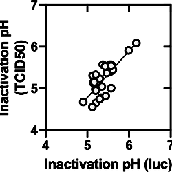 Comparison of virus inactivation values measured by TCID50 and ...