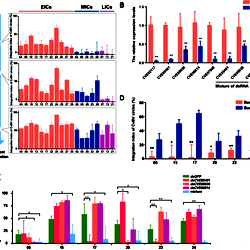 CvBV-encoded integrases are involved in the integration of some CBCs.