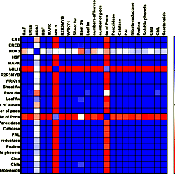 Heatmap correlation matrix among molecular and physiological traits ...