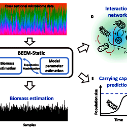 Schematic overview for the BEEM-Static algorithm.