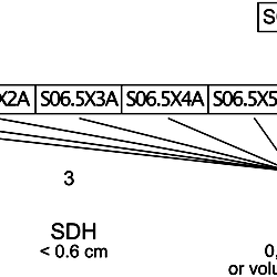 Exemplary visualisation of the mapping process from ICD-10-GM into AIS ...