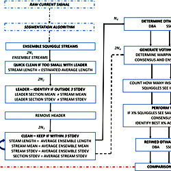 Flow chart representing the process to generate a refined squiggle ...