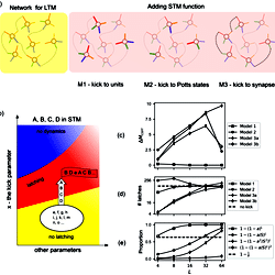 Different models for holding items in STM yield qualitatively different ...