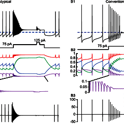 Explanation of Depolarization Block Mechanisms Using Square Pulses. A.