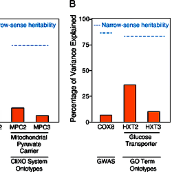 Phenotypic Variation Explained for each Model and Trait.