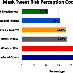 Six derived mask tweet COVID-19 risk perception codes.