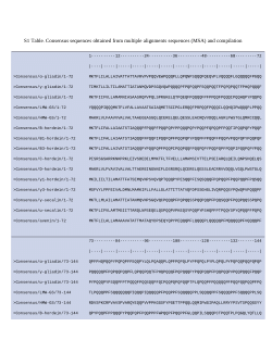 Consensus sequences obtained from multiple alignments sequences (MSA ...