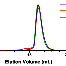 Size Exclusion Chromatography analyses of CwlD variants.
