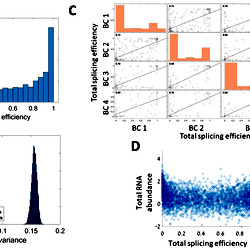 Multiple barcodes, and randomized control for RNA abundance and ...