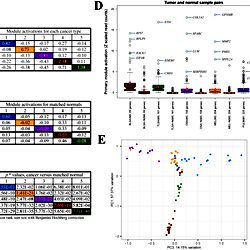 Comparison of module activations between cancer and normal samples.