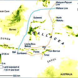 Map of Wallacea showing the location of Sulawesi.