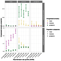 Introgressed ancestry by recombination rate.