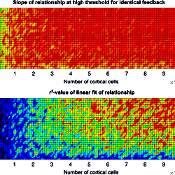 Pattern convergence that increases with initial odor similarity only ...