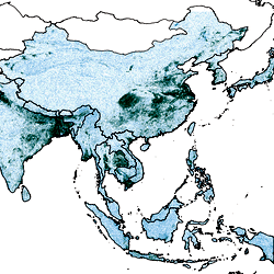 Spatial extent of rice cultivation (green) and wetlands (blue) in Asia.