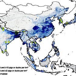 Map of the areas estimated to be suitable for endemic JEV transmission ...