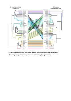 Mammalian order and family subtree topology derived from hierarchical ...