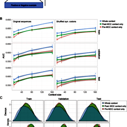 CAMAP architecture and detailed predictions.