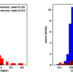 Distributions of HO and OT neurons’ scores.