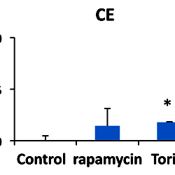 Figure S1 - Translation Inhibitors Induce Formation of Cholesterol ...