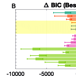 Model comparison (Bayesian Information Criterion (BIC)).