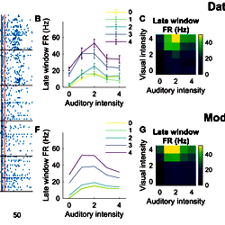 An example neuron that exhibits both superlinear and sublinear ...