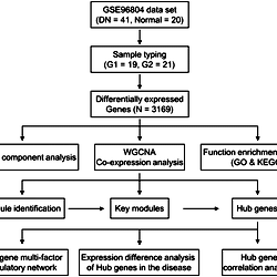 Flow chart of the bioinformatics analysis.