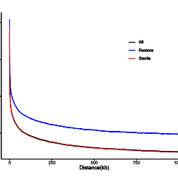 Genome-wide average LD decay in the sterile lines, restore lines, and ...