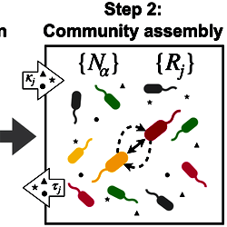 Overview of the coalescence modelling methodology.