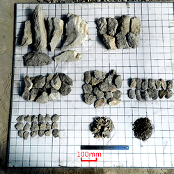 Typical geometry of chips.