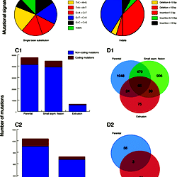 Whole genome sequencing data analysis.