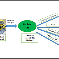 S1 Graphical abstract