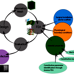 Schematic overview of the computational framework.