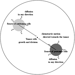 Schematic view of the geometry of the mathematical model.