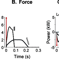 Effects of stiff vs. compliant springs on Actuated Spring-mass model ...